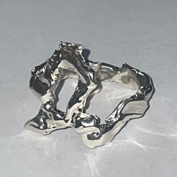 Products – Page 2 – CIELV RINGS